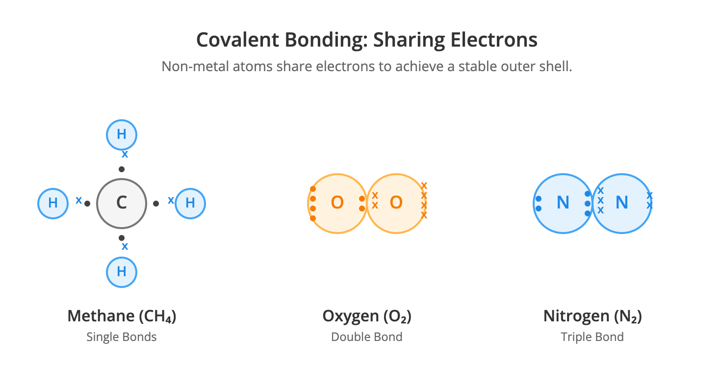 Types of Bonding Revision Notes | CIE | A-Level Chemistry - Exam Fitter