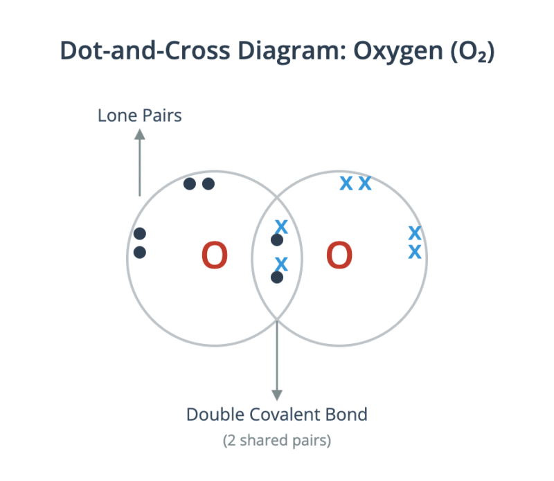 Dot-and-Cross Diagrams Notes | CIE | A-Level Chemistry - Exam Fitter