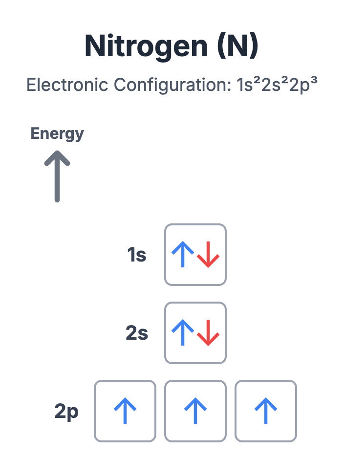 Electronic Configurations Revision Notes | CIE | A-Level Chemistry ...